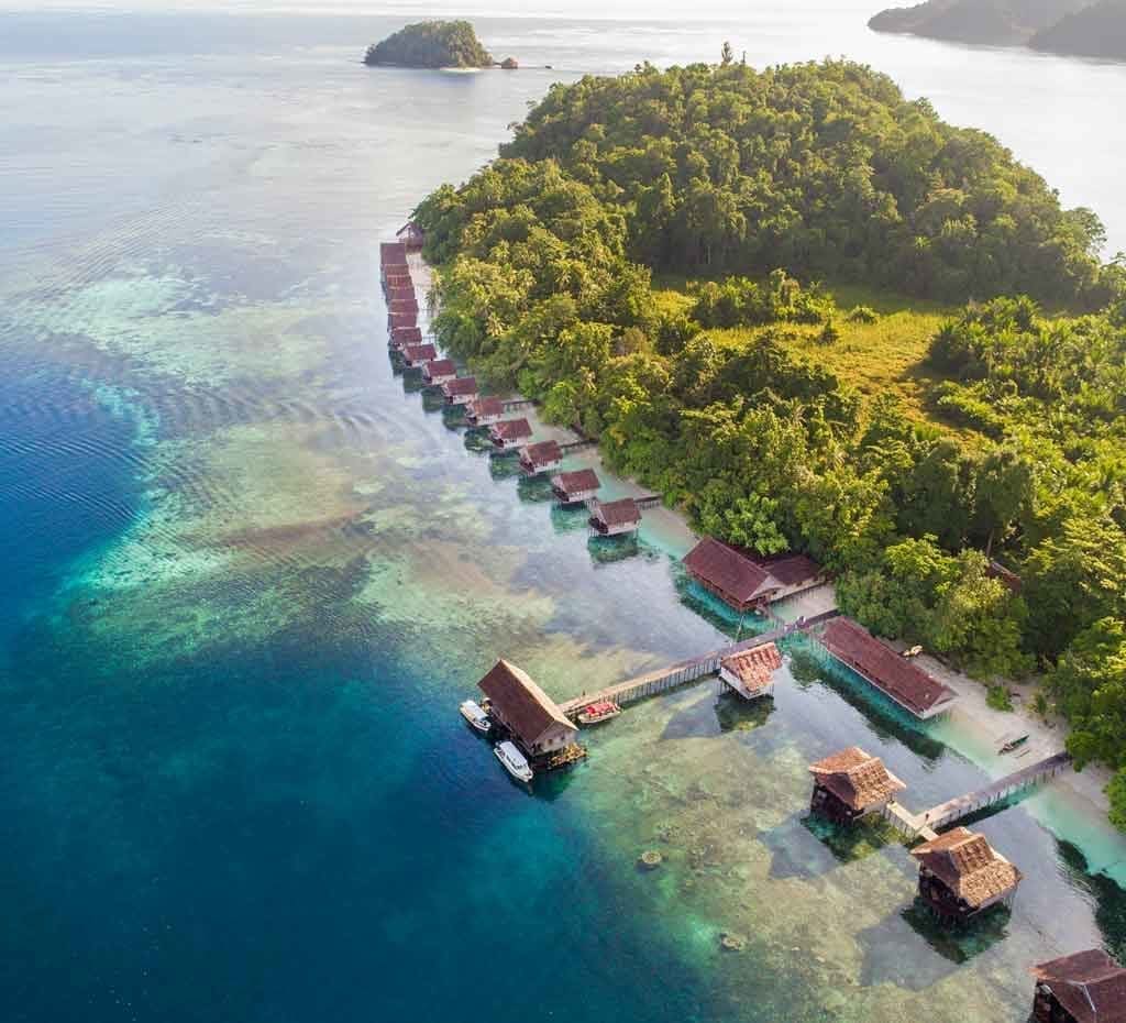 Papua Paradise Eco Resort - Raja Ampat - Orca