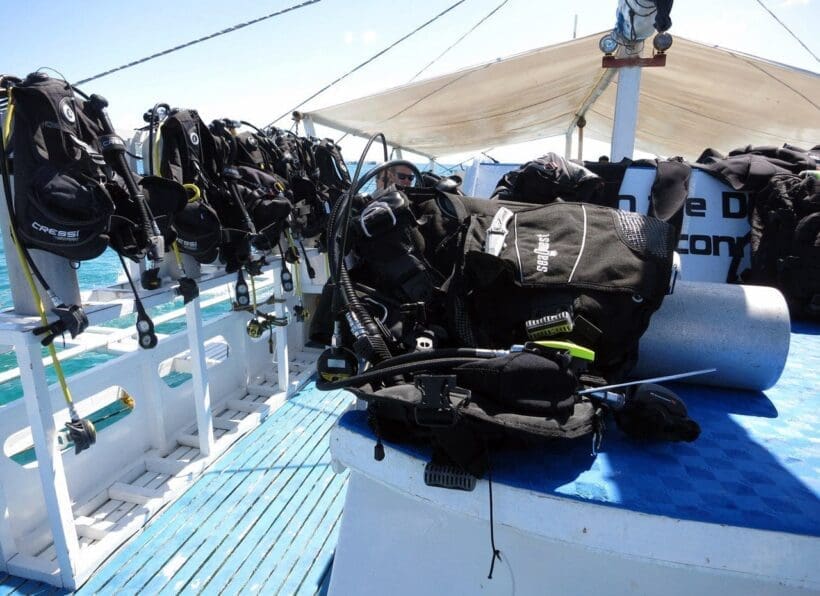 Devocean Divers - Orca