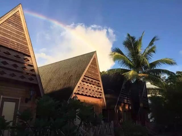 Island Paradise Resort Club - Palau - Orca